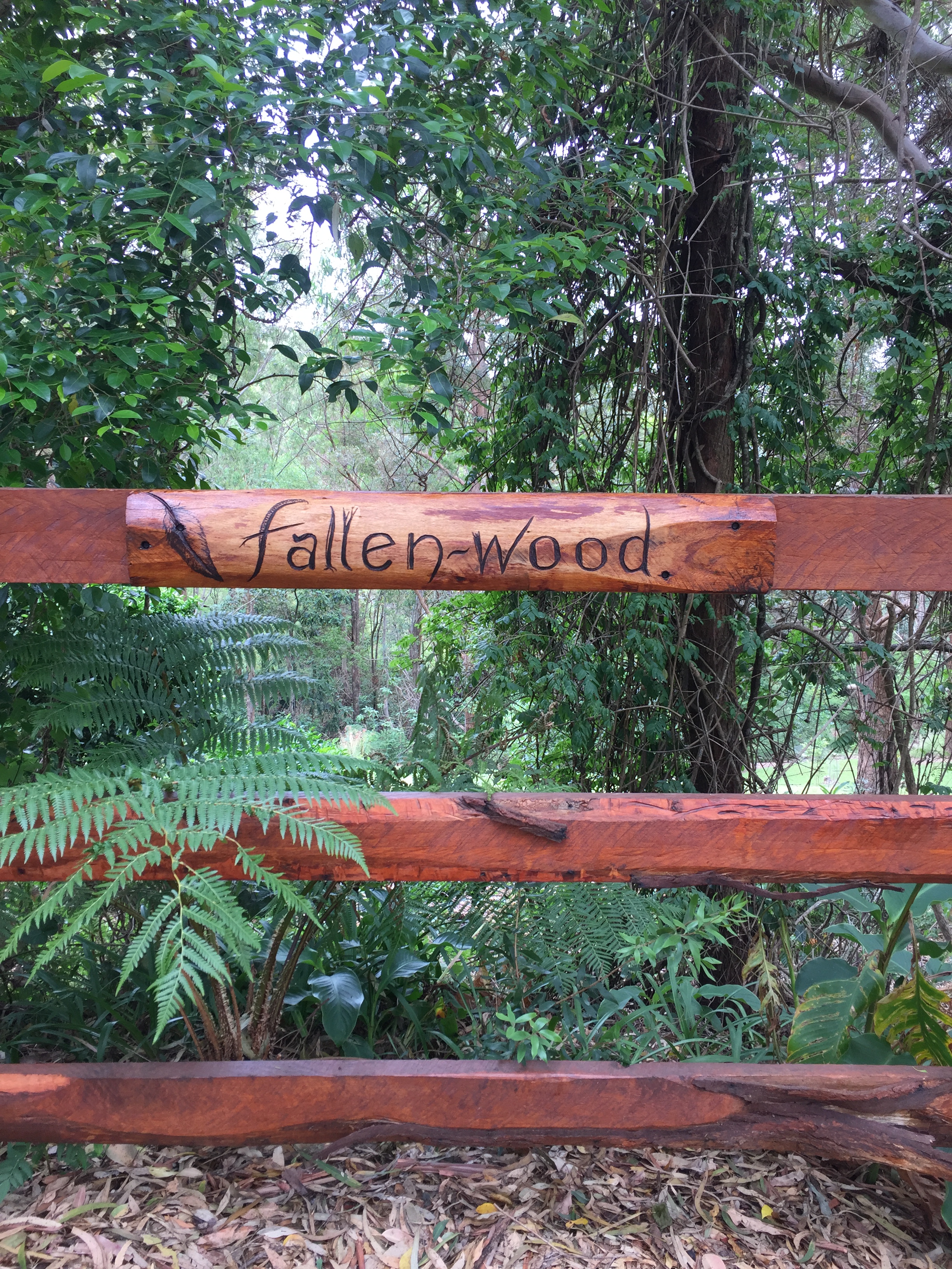 Fallen Wood – Seacrow Studios
